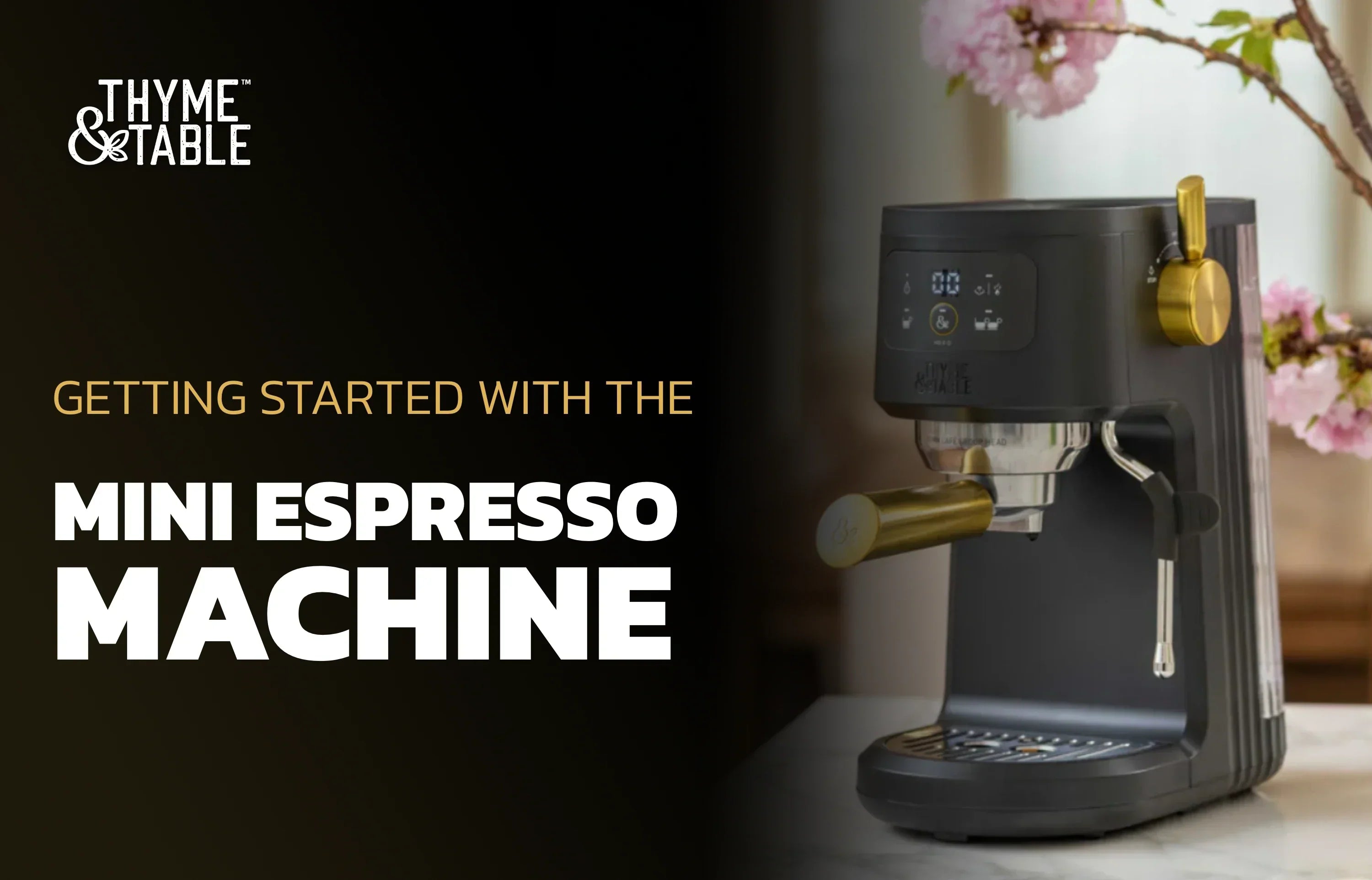 Mini Espresso Machine – Thyme&Table